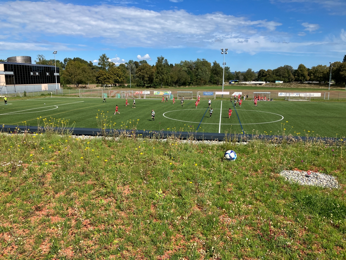 Pilotprojekt mit optimierter Verdunstungsrate - THIS – Tiefbau Hochbau ...