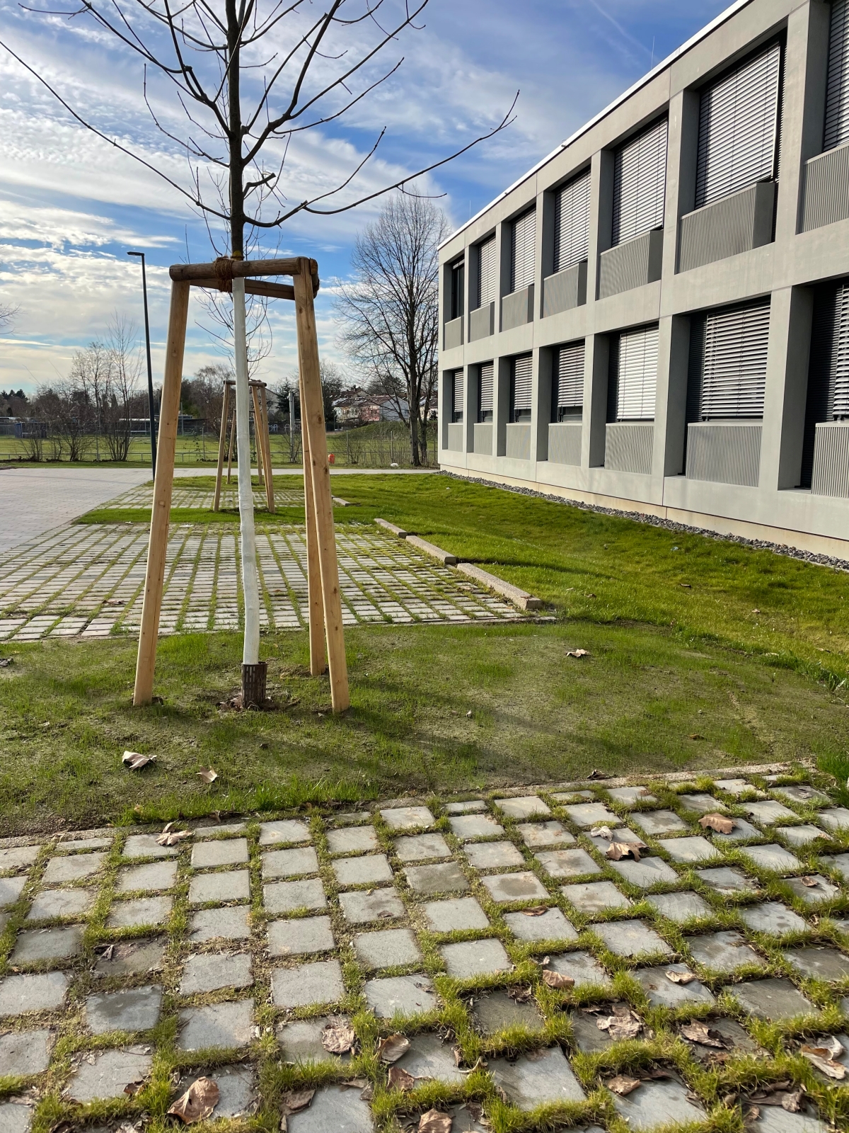 Stabiles Pflaster für Lehrerparkplatz - THIS – Tiefbau Hochbau ...