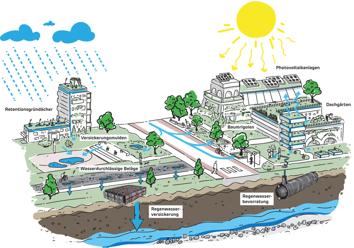 Schwammstadt speichert Wasser - THIS – Tiefbau Hochbau Ingenieurbau ...