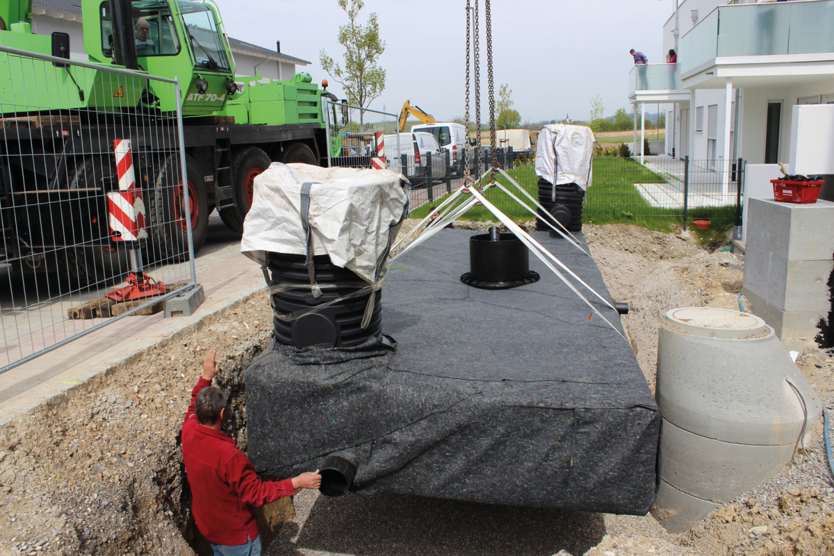 Schwammstadt speichert Wasser - THIS – Tiefbau Hochbau Ingenieurbau ...