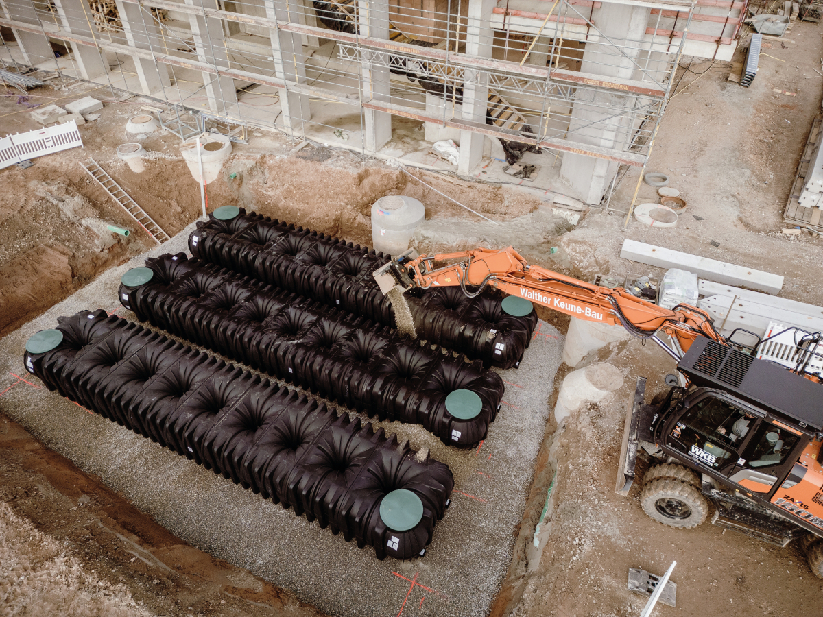 Schwammstadt speichert Wasser - THIS – Tiefbau Hochbau Ingenieurbau ...